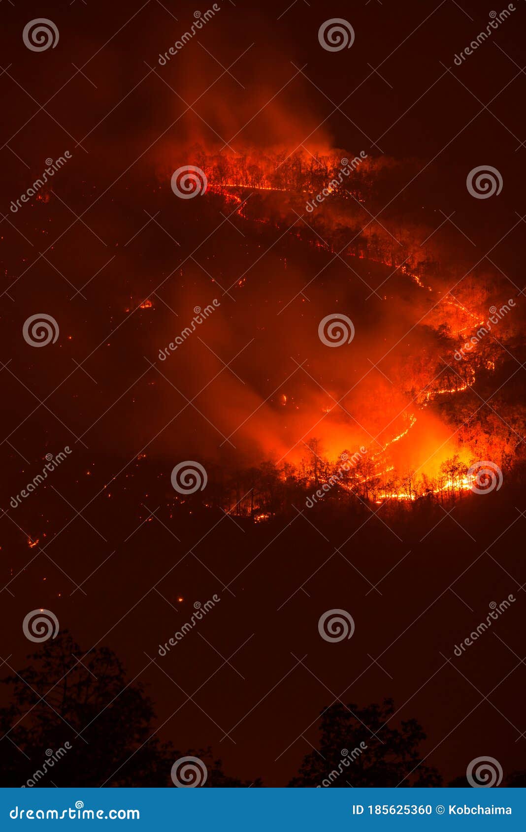 Forest Fire in Night stock photo. Image of forest, orange - 185625360