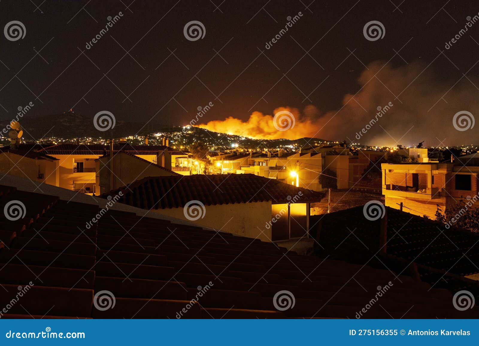 Forest Fire at Night.Wildfire Burning Forest Trees in the Mountain ...