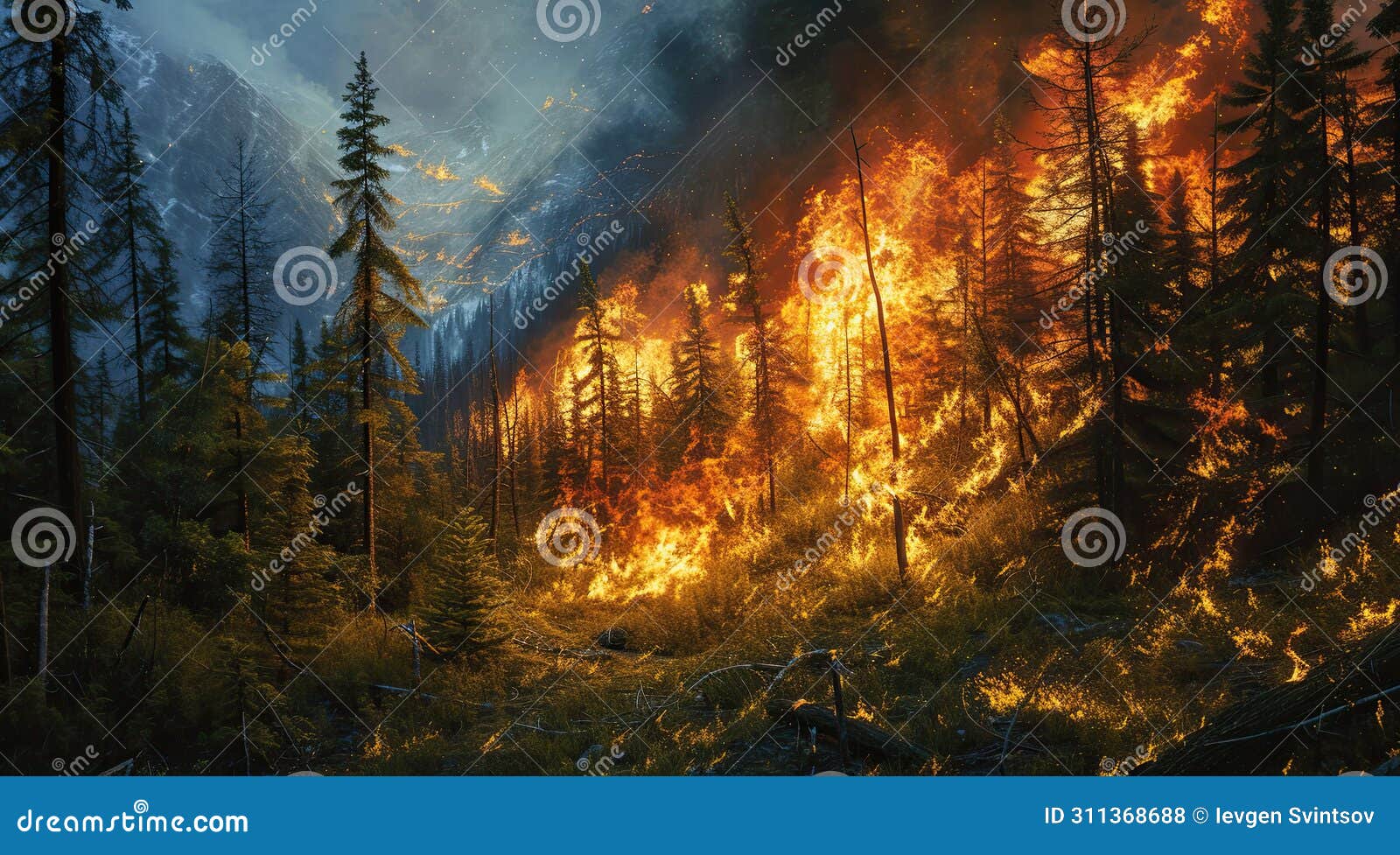 Forest Fire Peril Flames Engulf Wooded Area Threatening Ecosystem ...