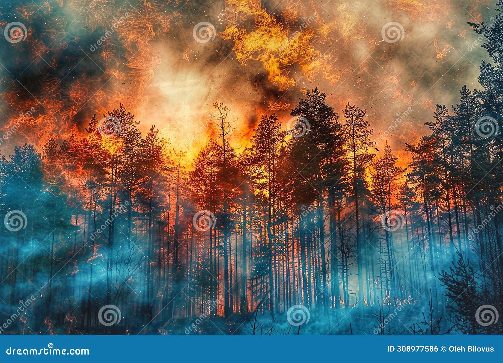 A Forest Fire in a Pine Forest. Stock Illustration - Illustration of ...