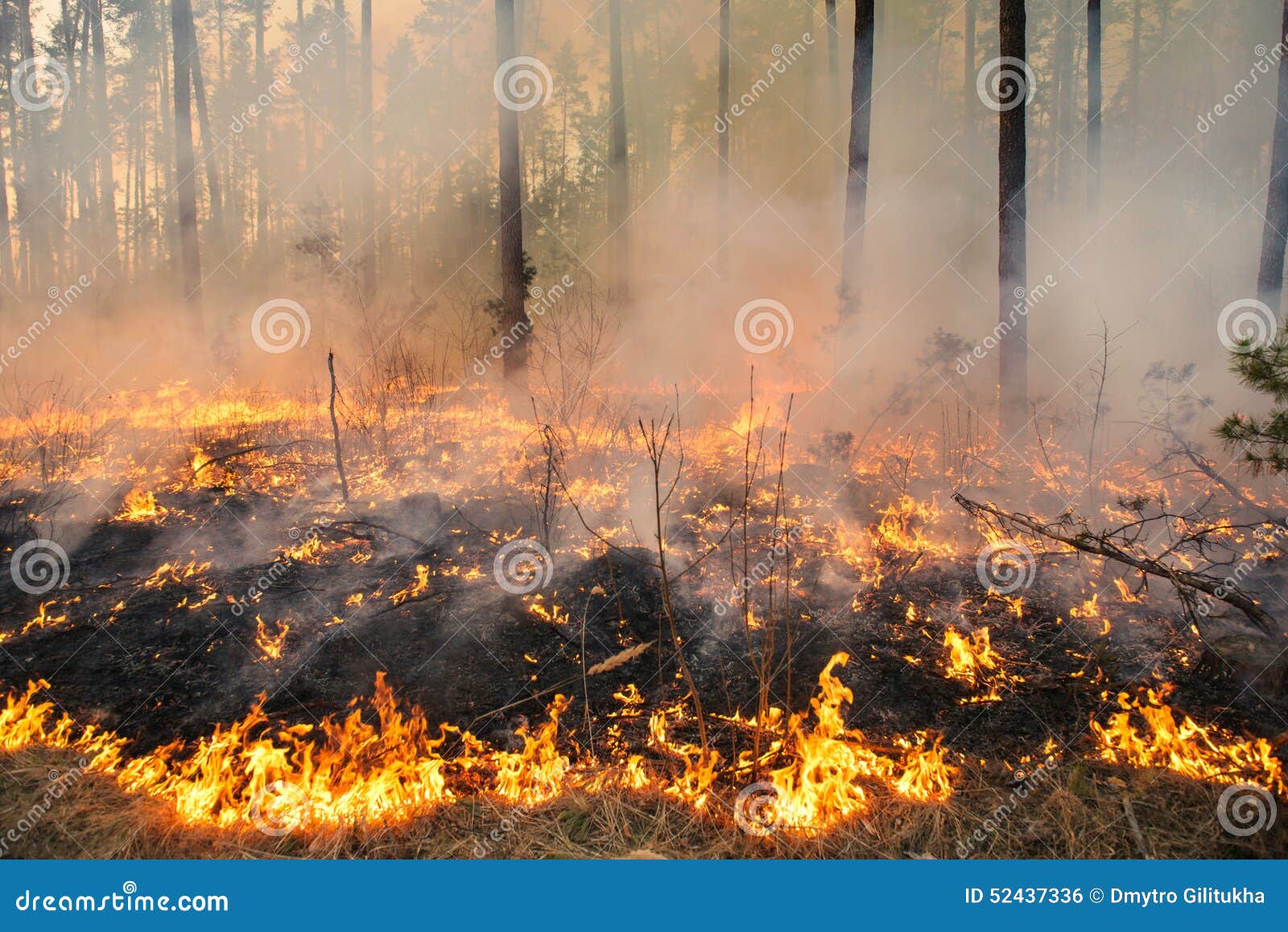 7,315 Fire Stand Photos - Free & Royalty-Free Stock Photos from Dreamstime