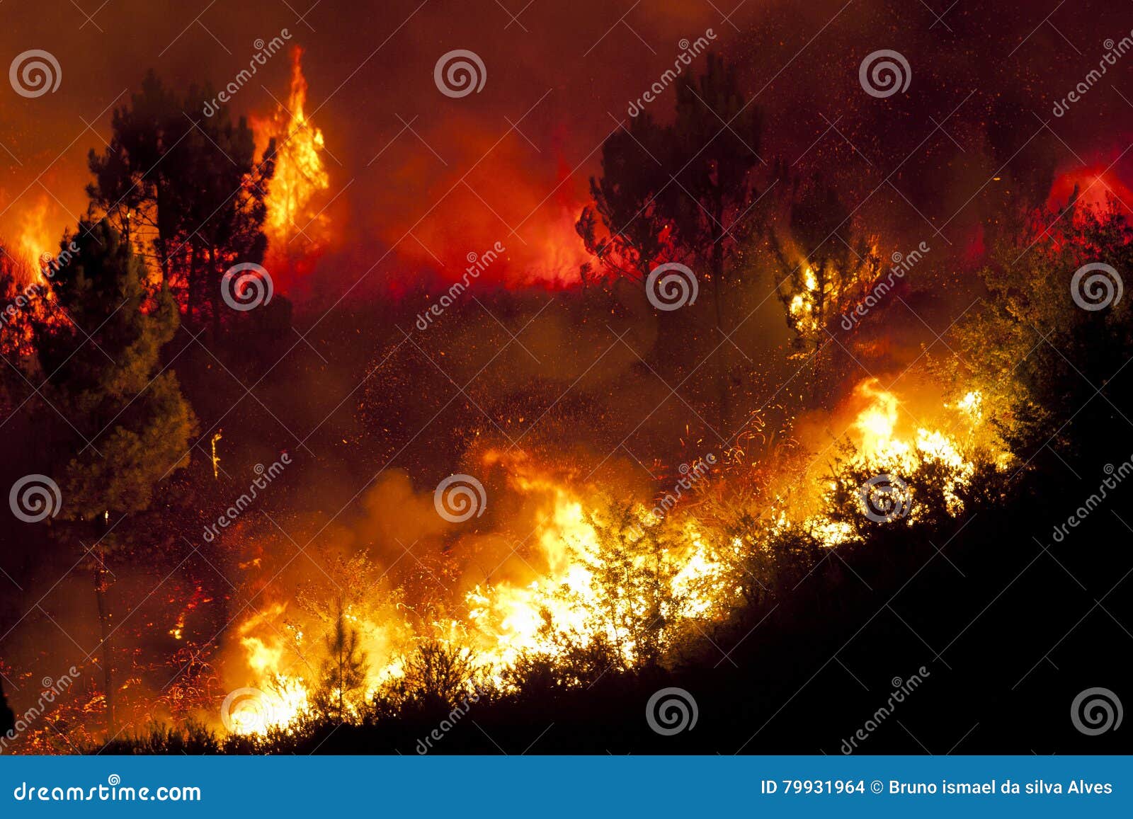 Forest Fire Stock Photo | CartoonDealer.com #79931964