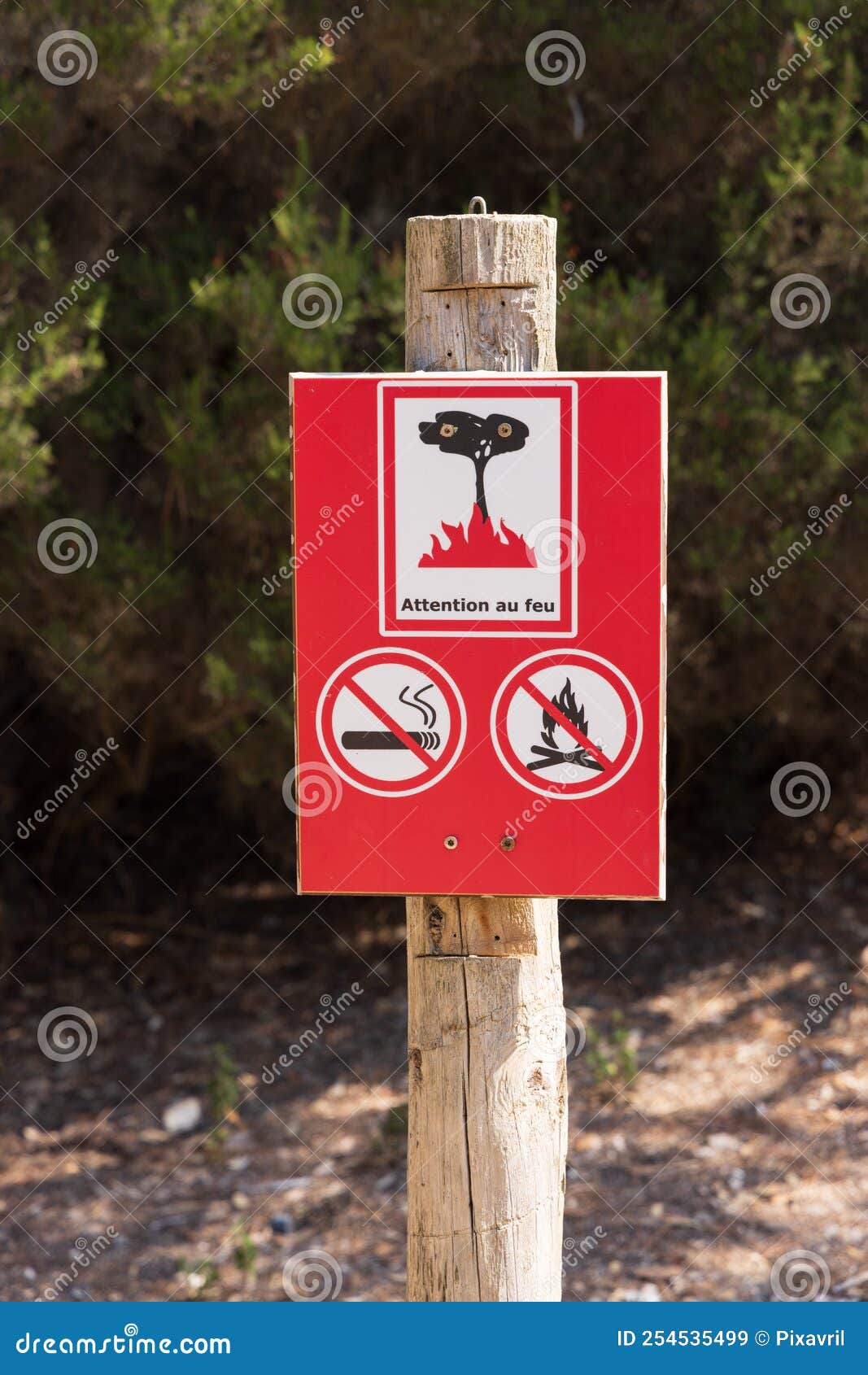 Forest Fire Prevention Sign Stock Image - Image of trees, background ...