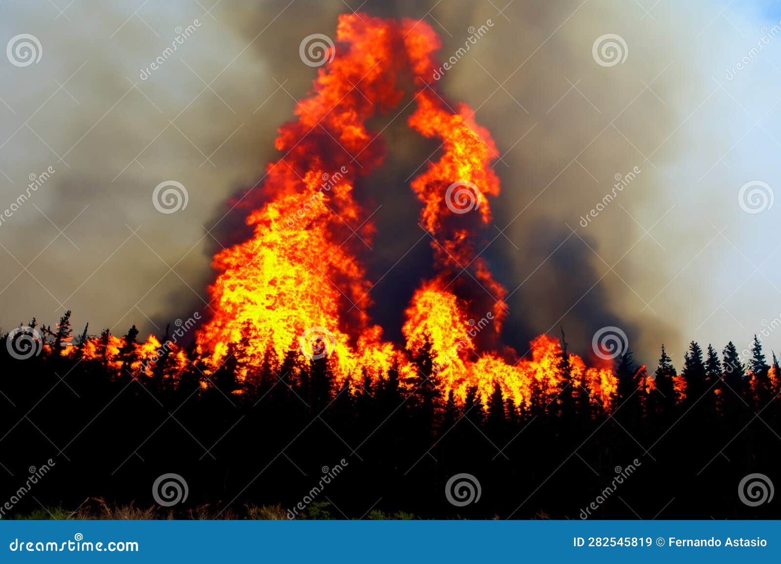 Forest Fire. Forest Fire in Progress. Wildfire. Large Flames of Forest ...