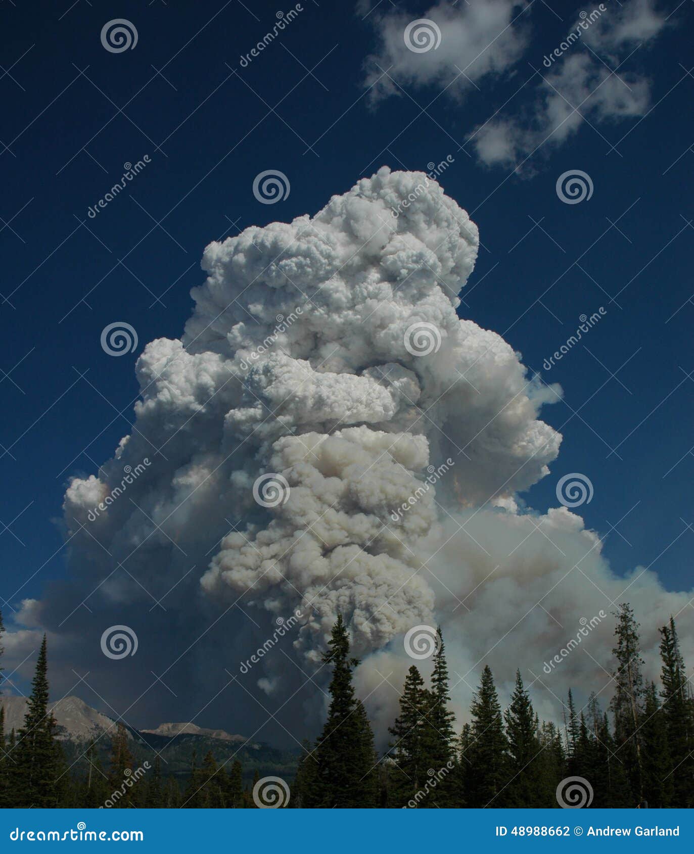 Forest fire stock photo. Image of pyronimbus, mountains - 48988662