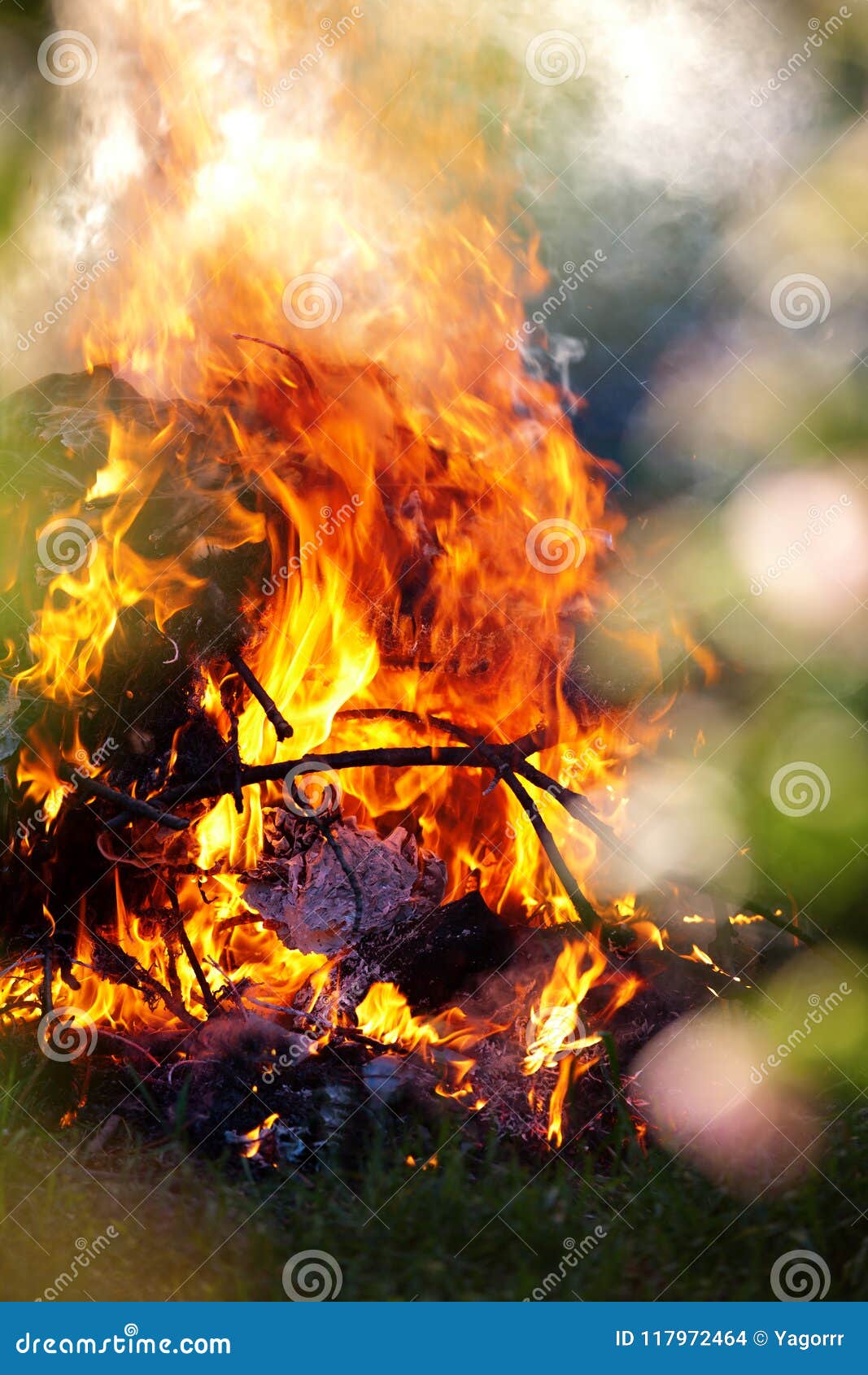 Forest Fire in the Rays of Sunlight Stock Photo - Image of heat ...