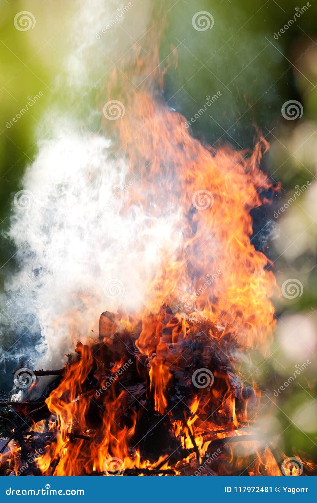 Forest Fire in the Rays of Sunlight in Spring Stock Image - Image of ...