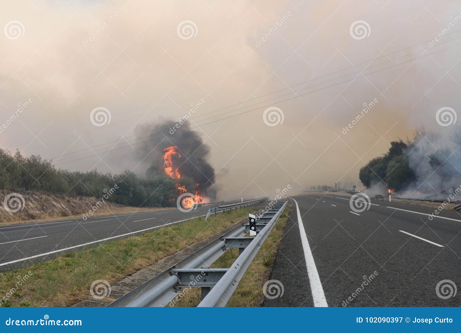 Forest fire on the road stock image. Image of fires - 102090397