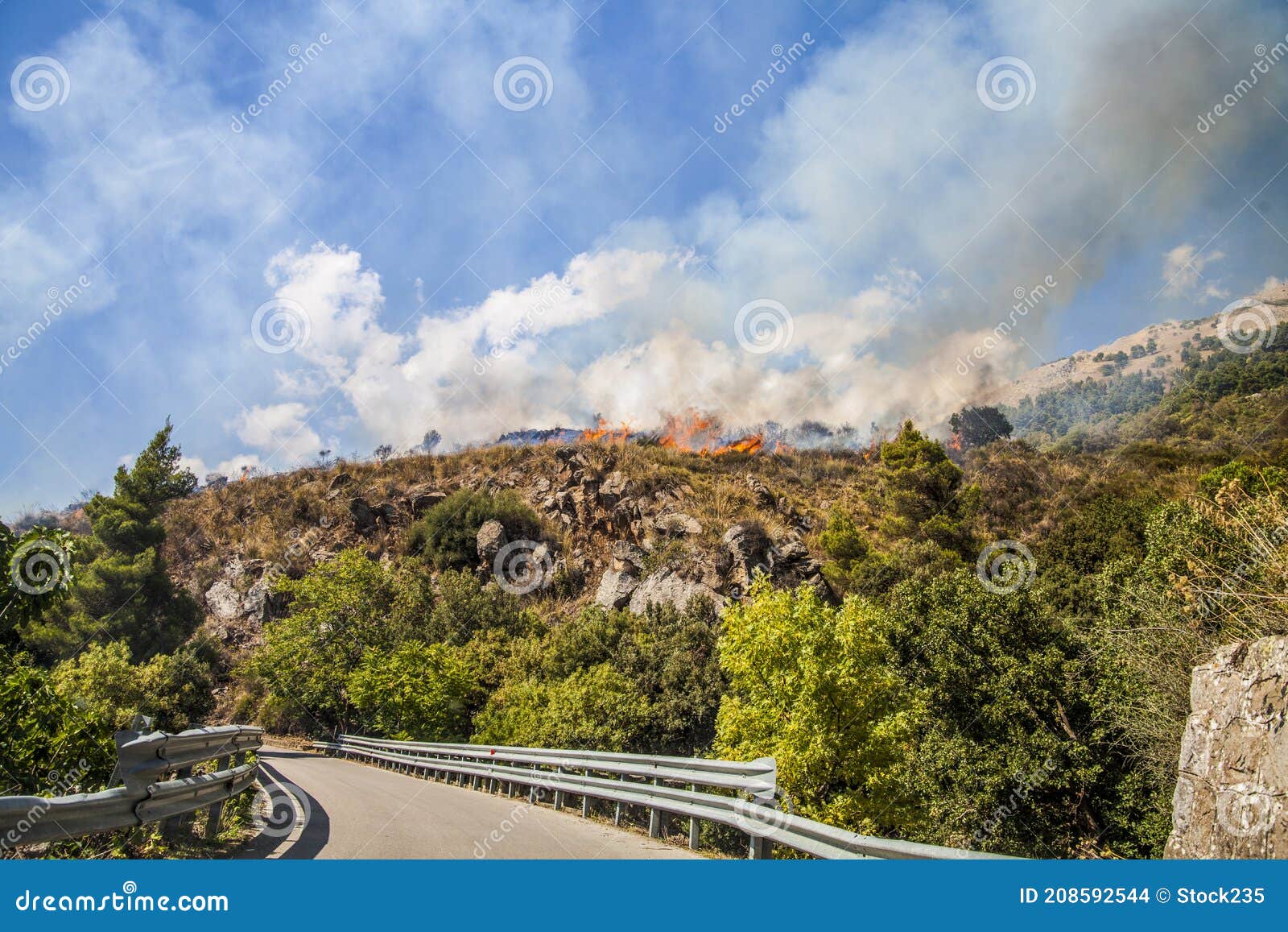 Forest Fire with Smoke Development Due To Severe Drought Stock Photo ...
