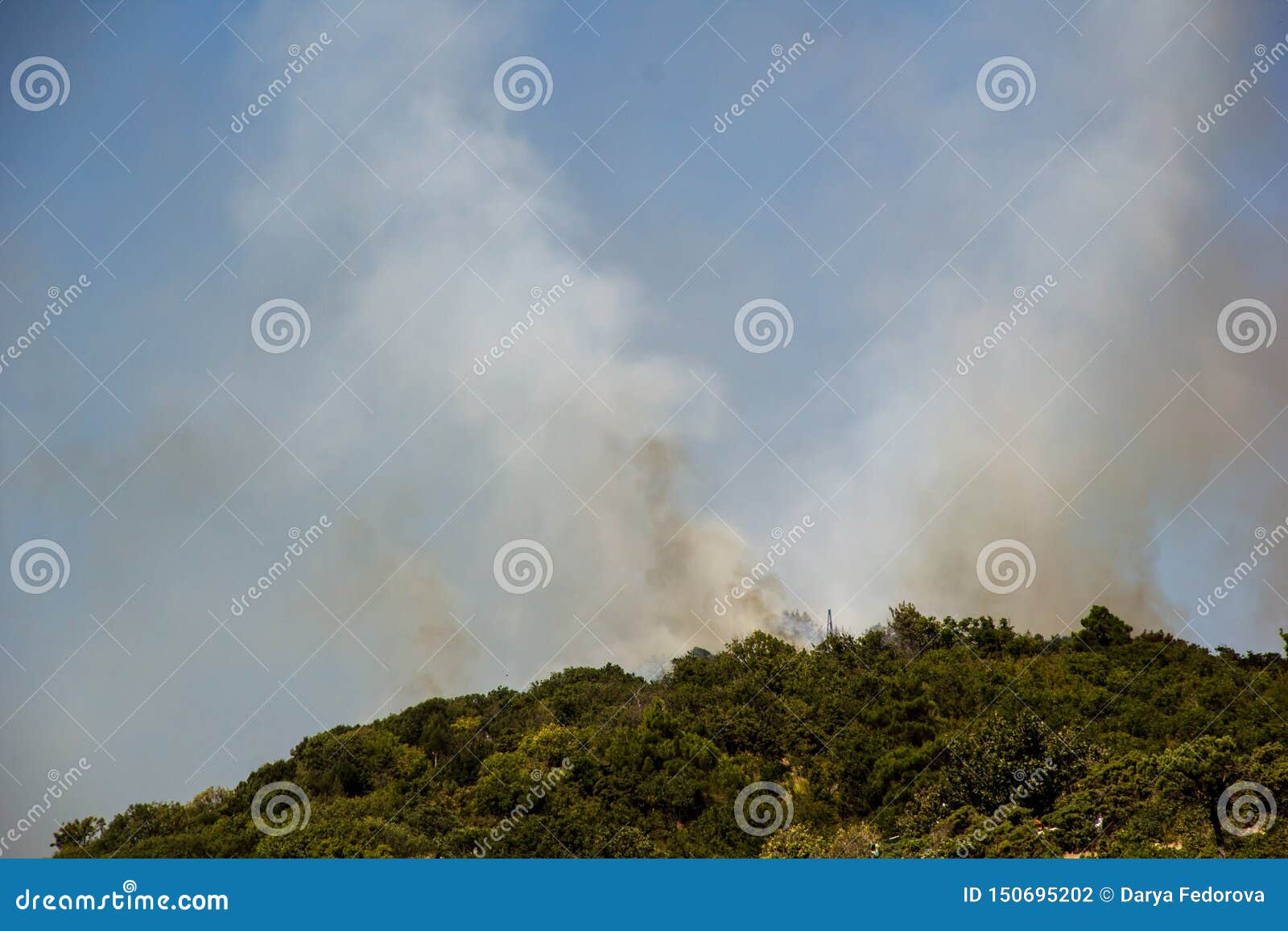 Forest Fire Smoke on the Slopes Hills. Fire in Mountain Forest. Wild ...