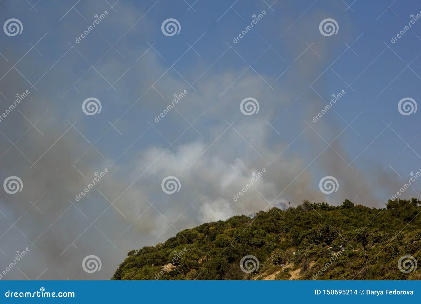Forest Fire Smoke on the Slopes Hills. Fire in Mountain Forest. Wild ...