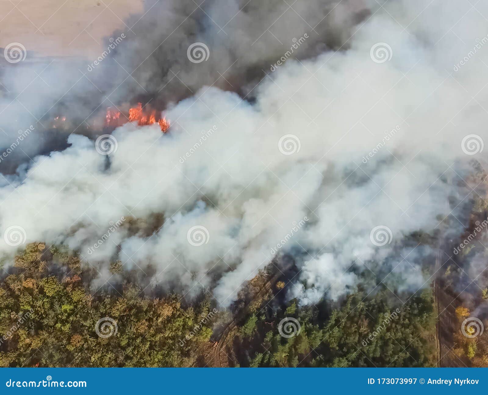 Forest Fire, Smoke of Surrounding Area. Smoke and Fire Stock Image ...