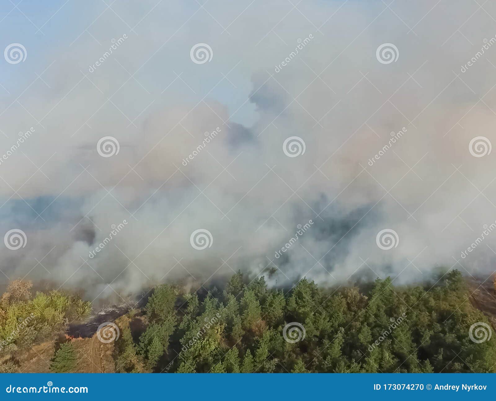 Forest Fire, Smoke of Surrounding Area. Smoke and Fire Stock Photo ...
