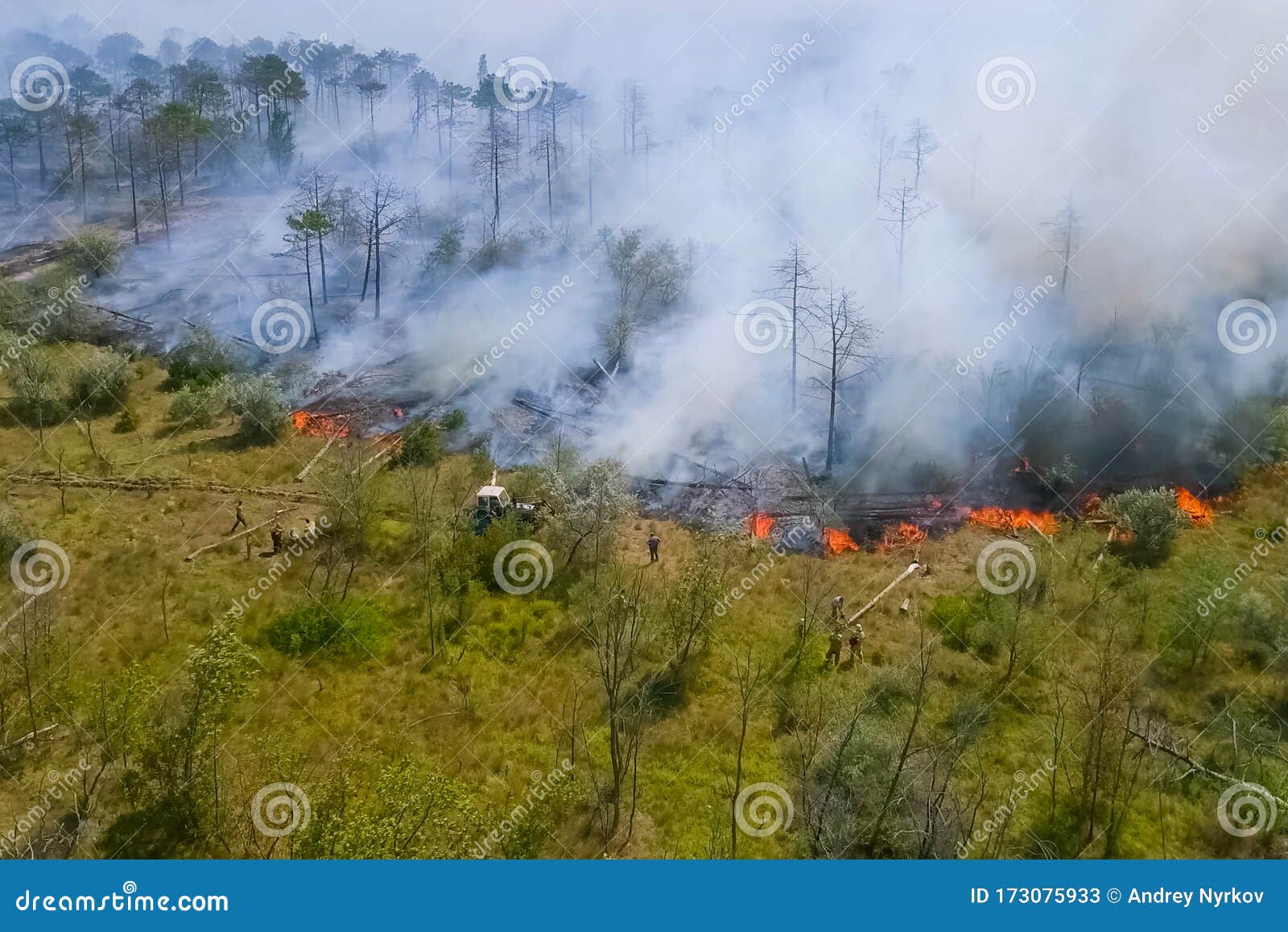 Forest Fire, Smoke of Surrounding Area. Smoke and Fire Stock Image ...