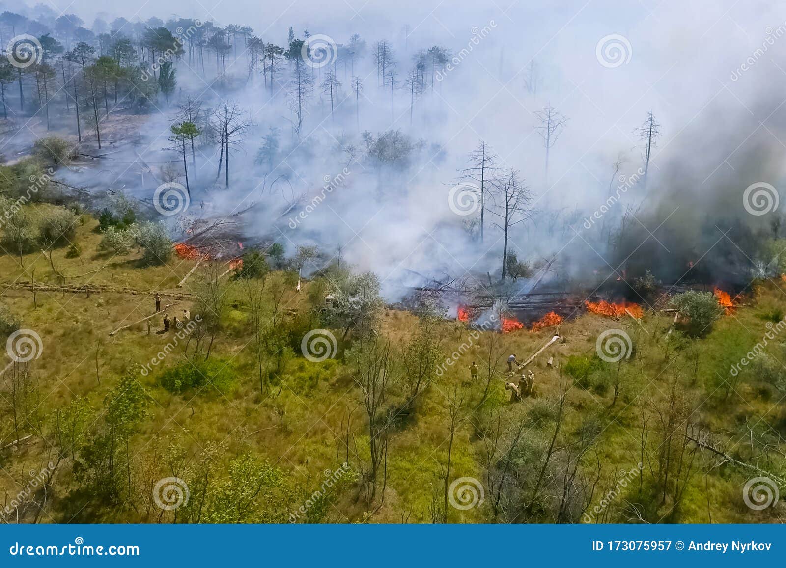 Forest Fire, Smoke of Surrounding Area. Smoke and Fire Stock Image ...