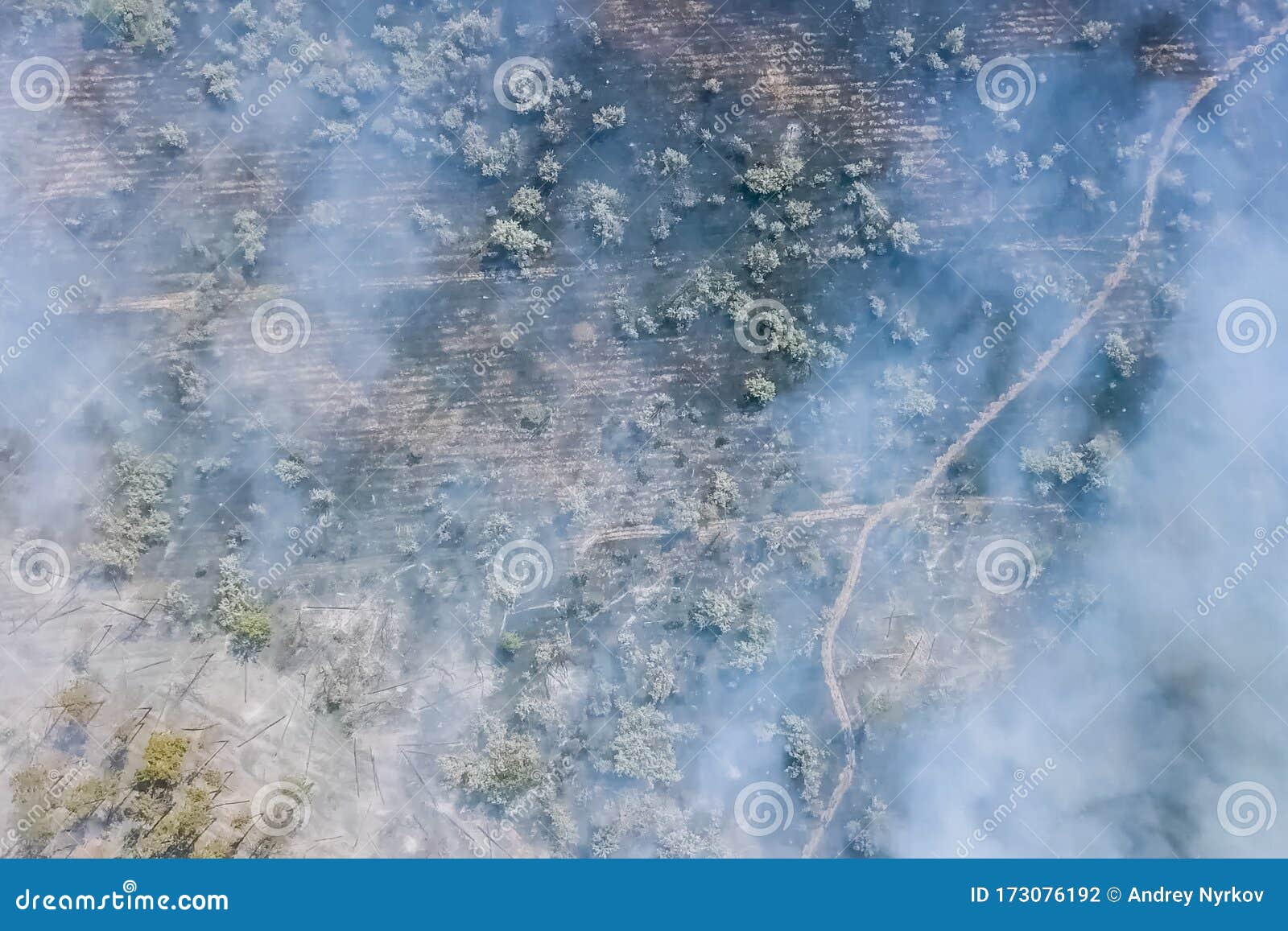 Forest Fire, Smoke of Surrounding Area. Smoke and Fire Stock Photo ...