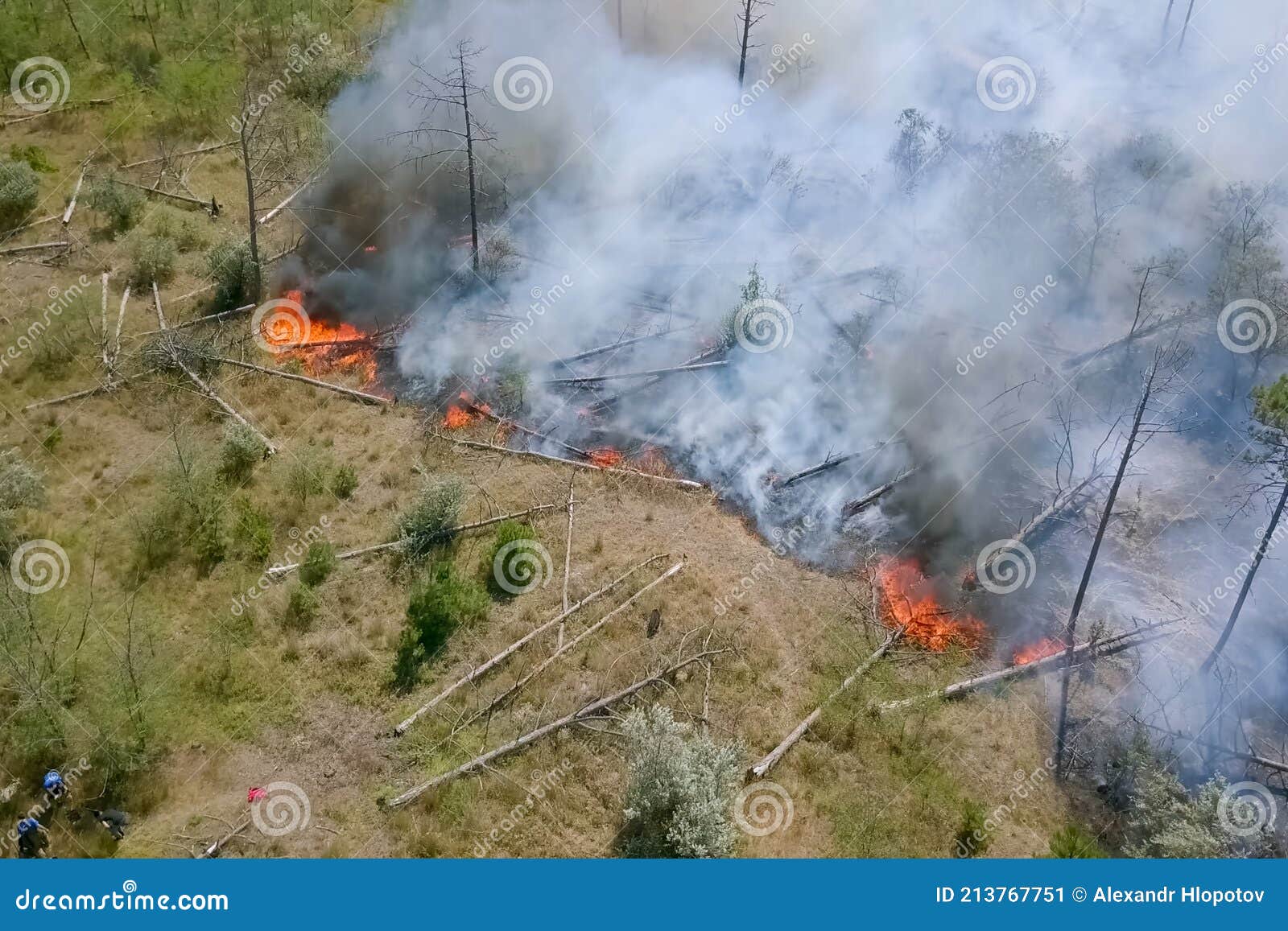 Forest Fire, Smoke of Surrounding Area. Smoke and Fire Stock Image ...