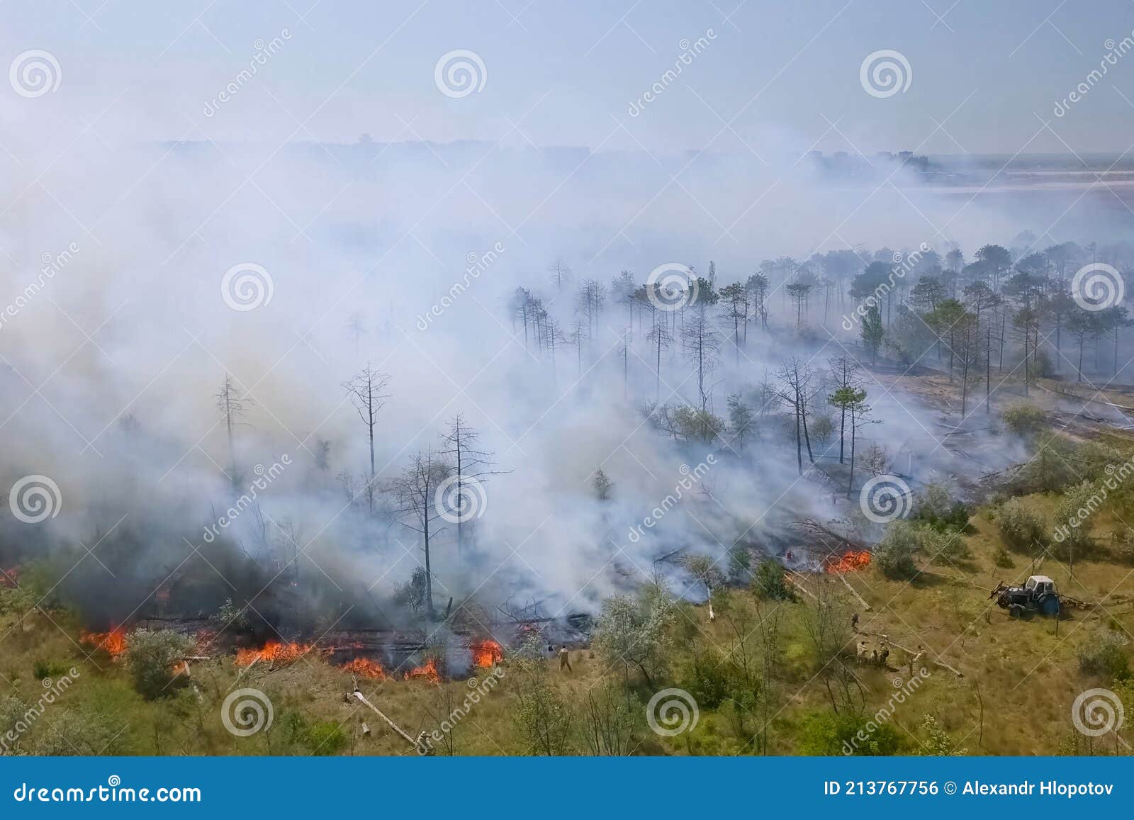 Forest Fire, Smoke of Surrounding Area. Smoke and Fire Stock Photo ...