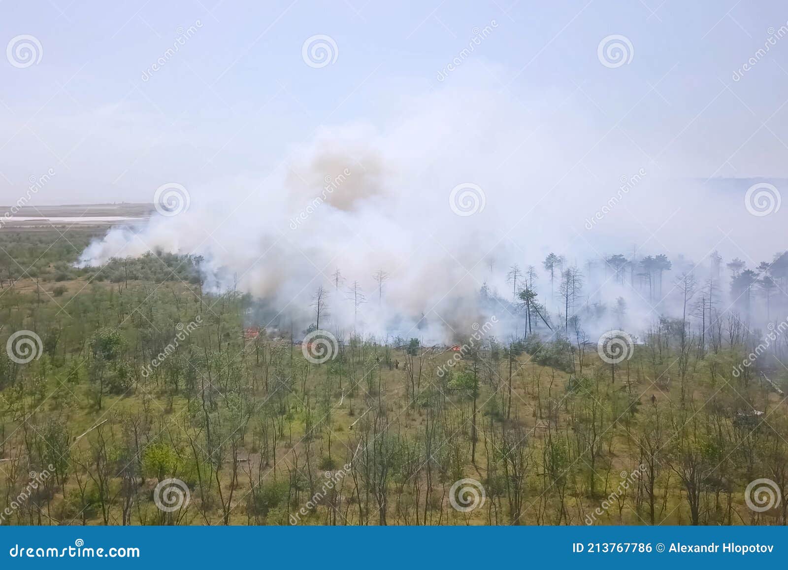 Forest Fire, Smoke of Surrounding Area. Smoke and Fire Stock Photo ...