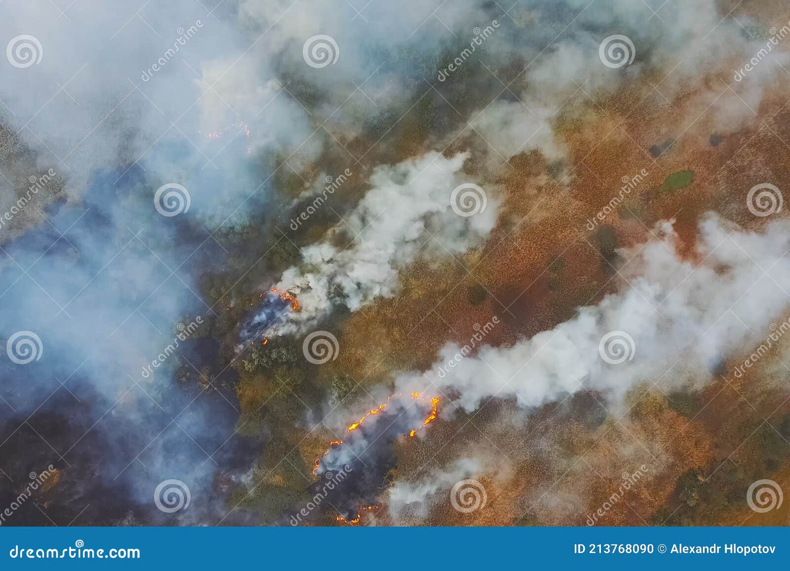 Forest Fire, Smoke of Surrounding Area. Smoke and Fire Stock Photo ...