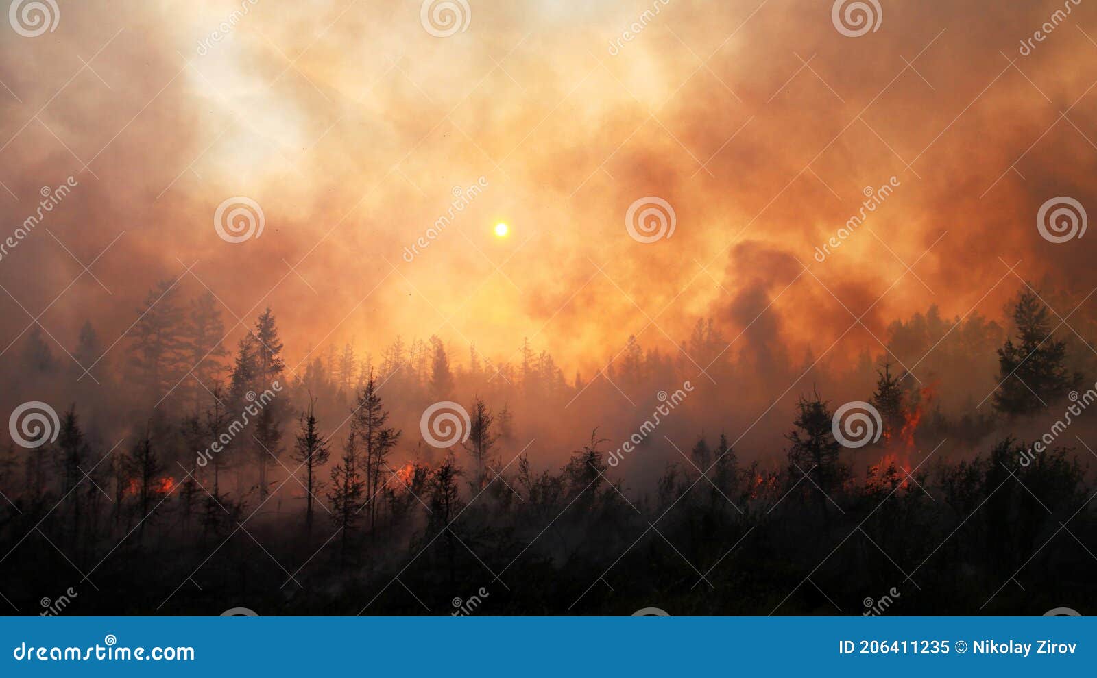 Forest Fire, Fire and Smoke in Forest. Wildfires Stock Image - Image of ...