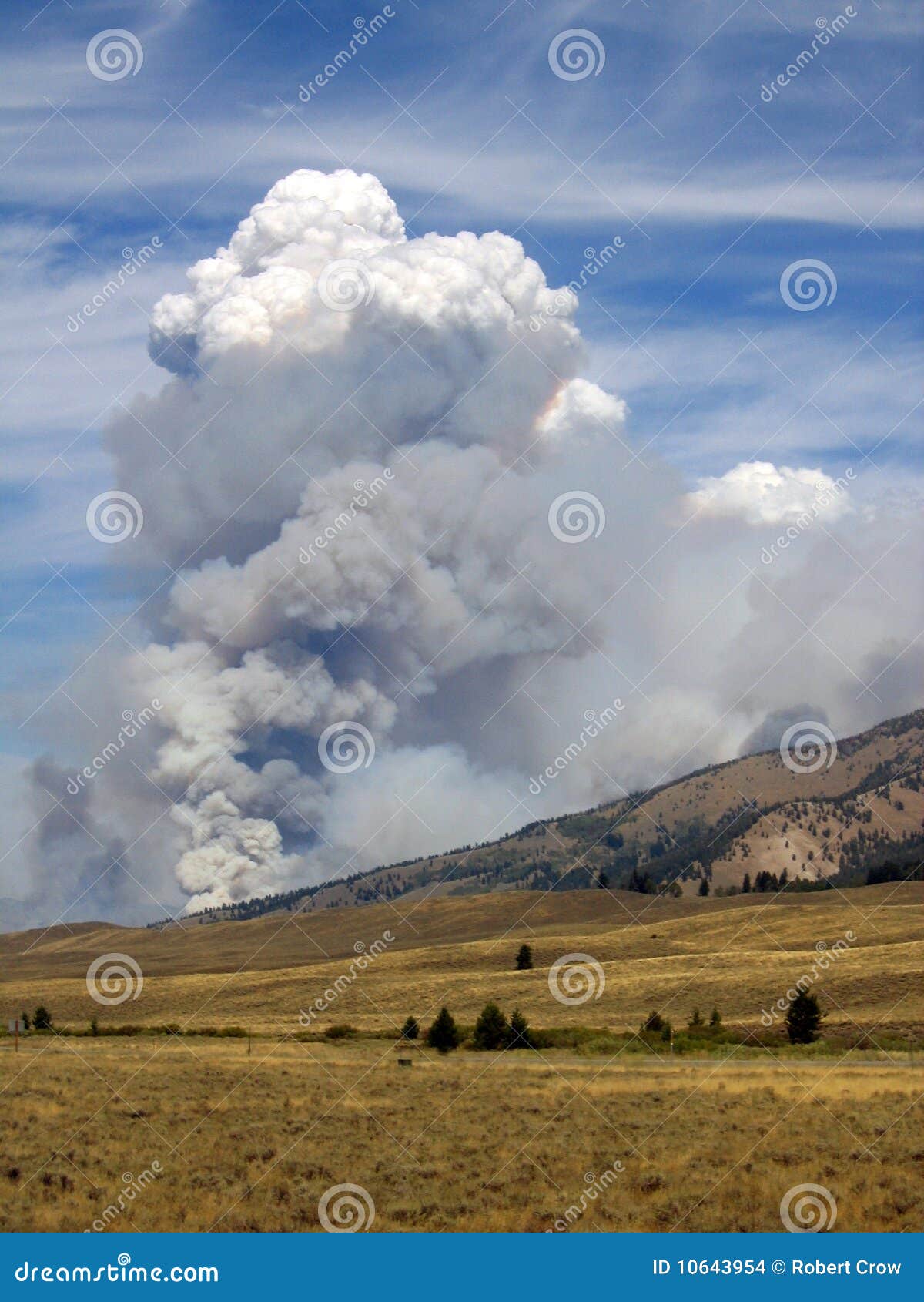 Forest Fire in Stanley stock photo. Image of wilderness - 10643954