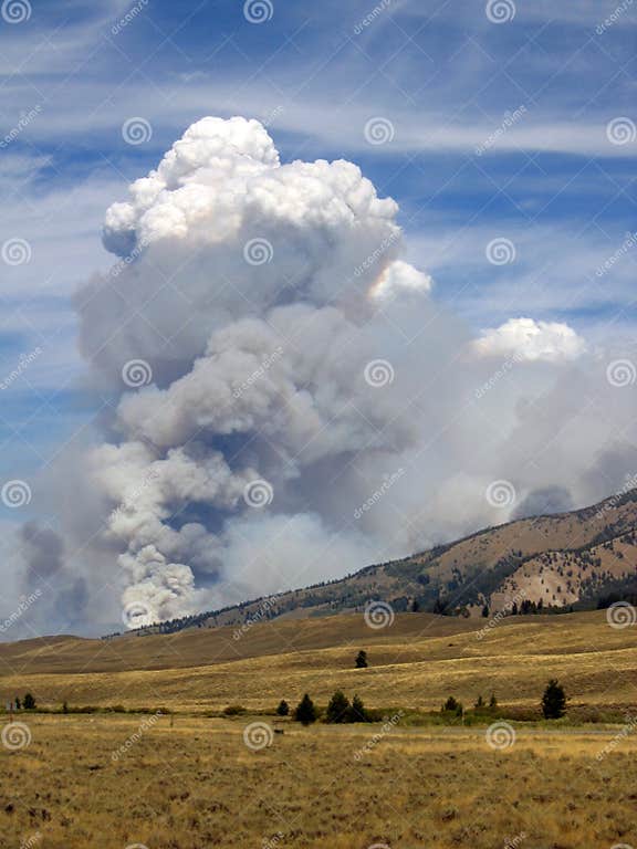 Forest Fire in Stanley stock photo. Image of wilderness - 10643954