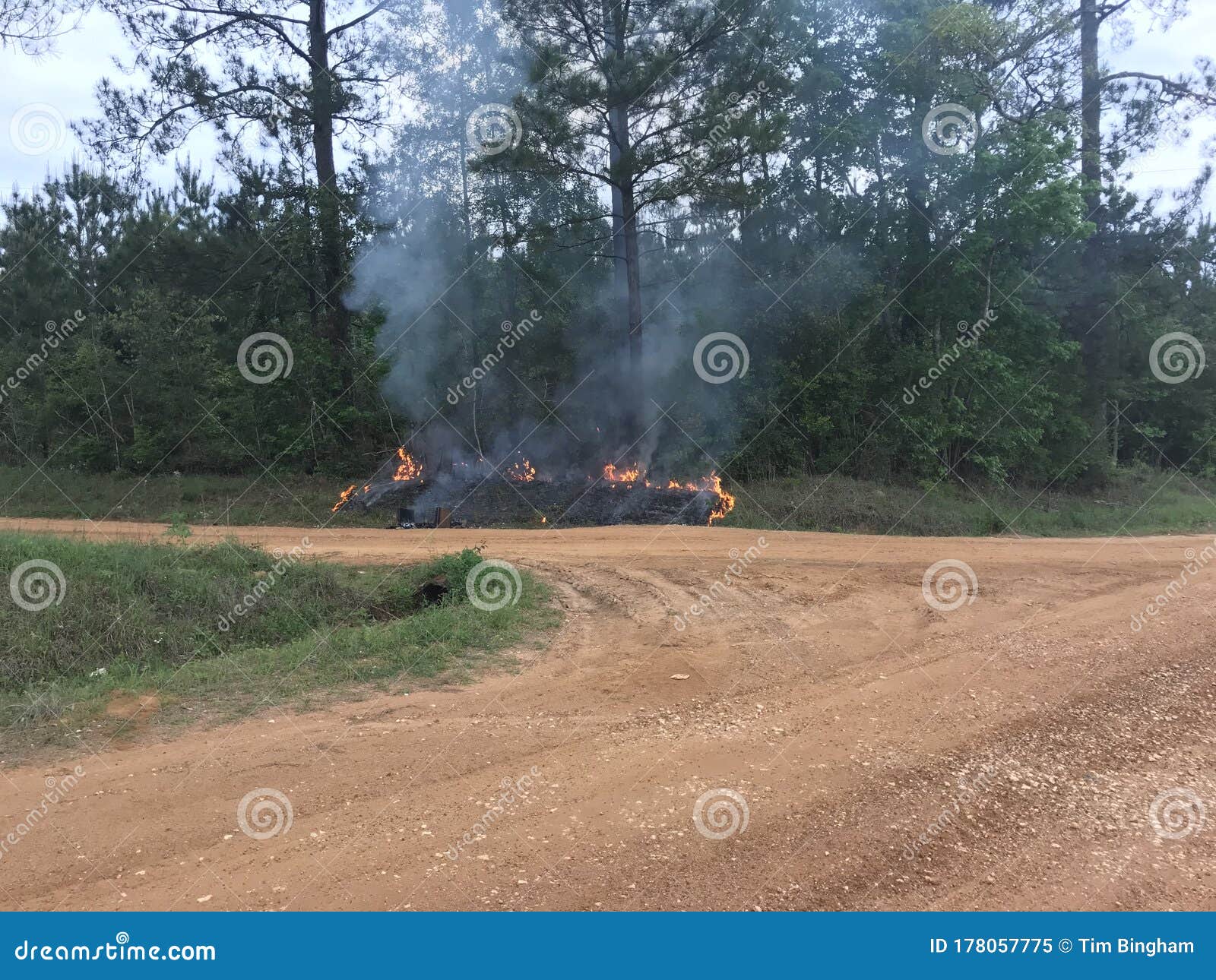 Forest Fire Starting on Road Side Stock Image - Image of burning, flame ...