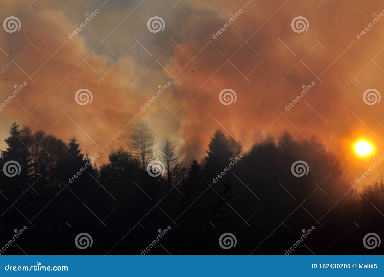 Forest fire and sun. stock image. Image of burned, emergency - 162430205