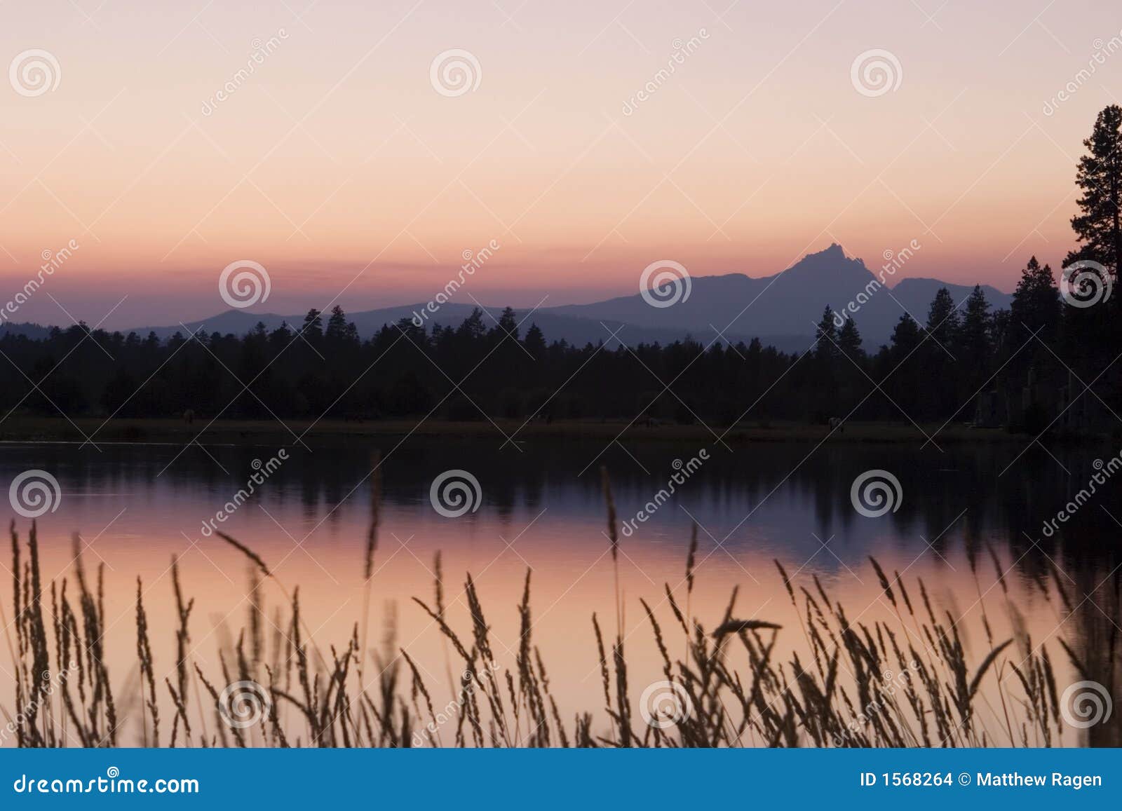 Forest Fire Sunset stock photo. Image of central, three - 1568264