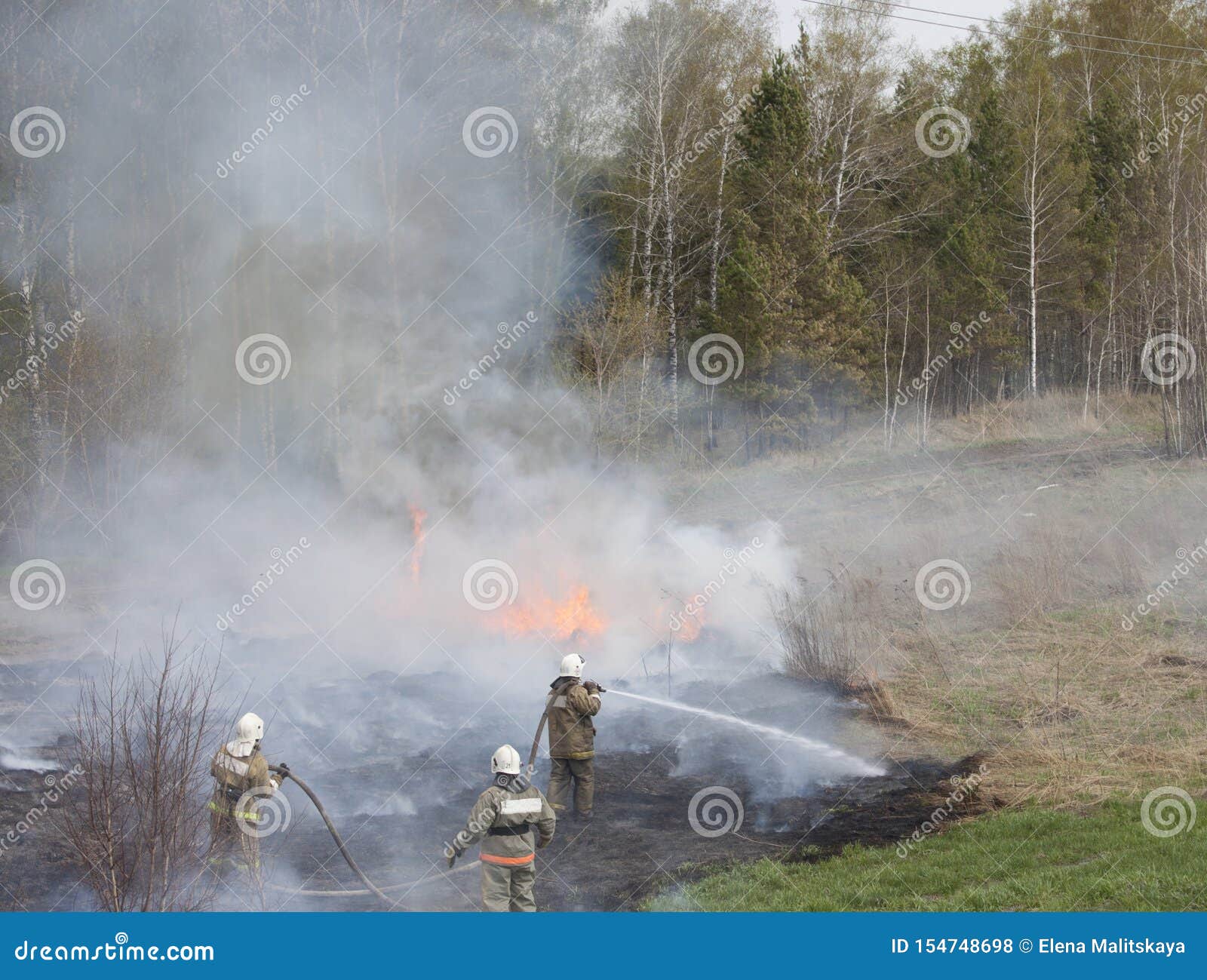 Forest Fire Three Firefighters Extinguish the Fire Stock Photo - Image ...