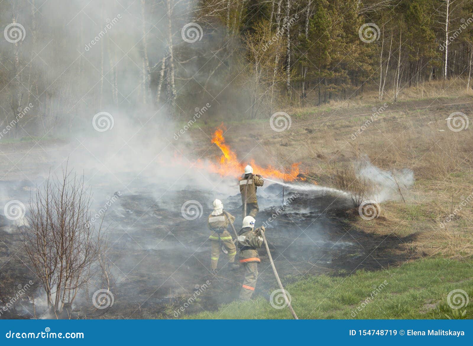 Forest Fire Three Firefighters Extinguish the Fire Stock Image - Image ...
