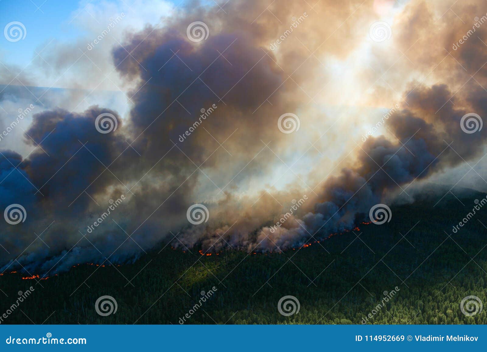 Forest fire, top view stock image. Image of nature, safety - 114952669