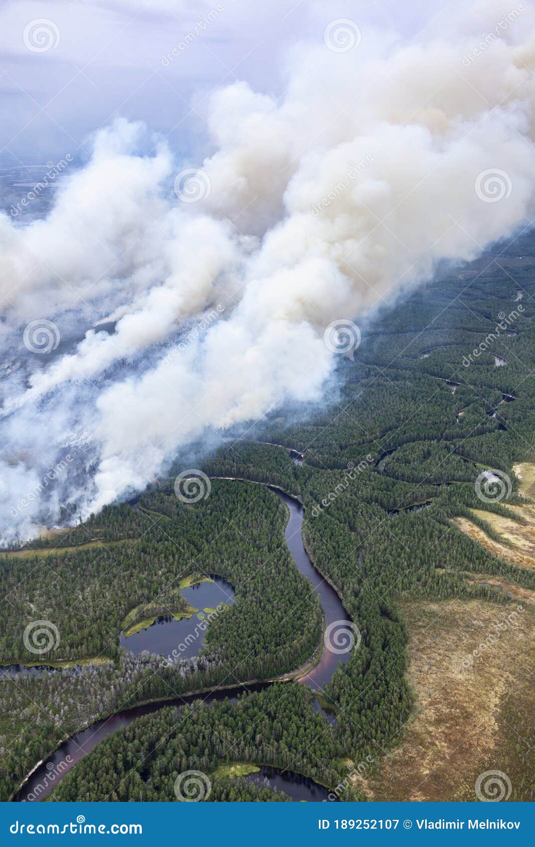 Forest in Fire, Top View from Plane Stock Image - Image of black ...