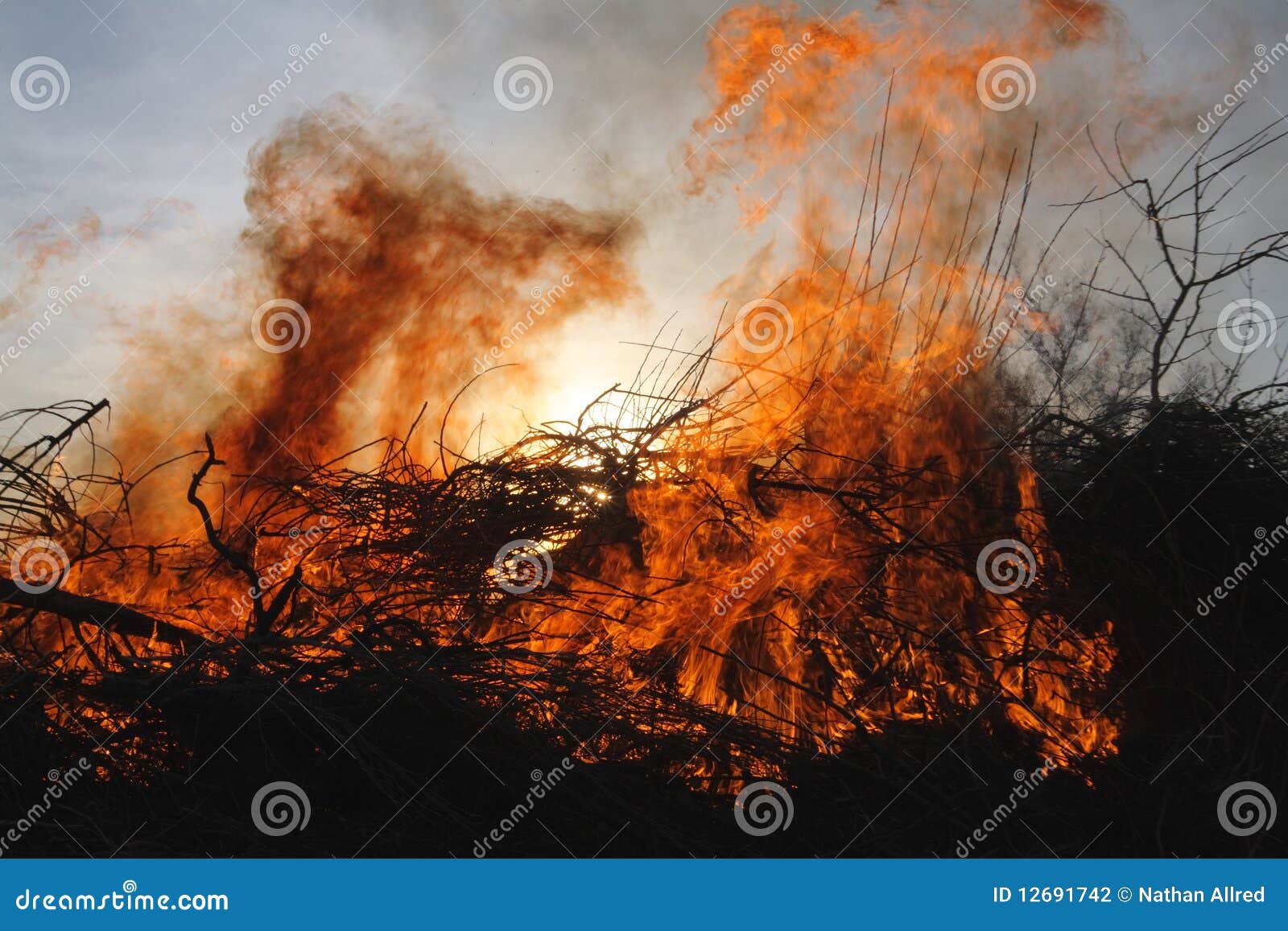 Forest fire and trees stock photo. Image of flame, hazard - 12691742