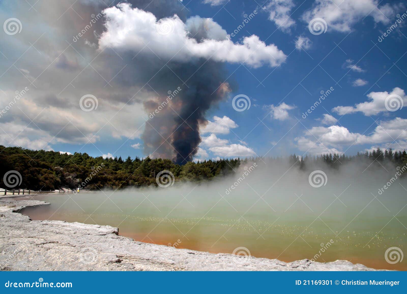 Forest Fire in the Wai-o-Tapu Geothermal Area Stock Image - Image of ...