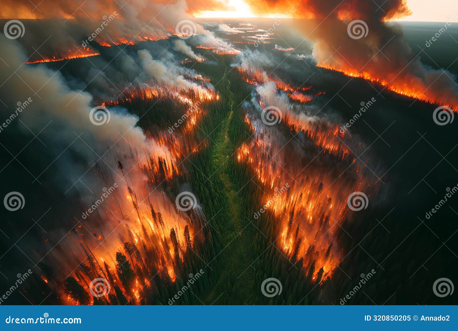 A Forest Fire, a Wide View of the Burning Landscape from Above Stock ...