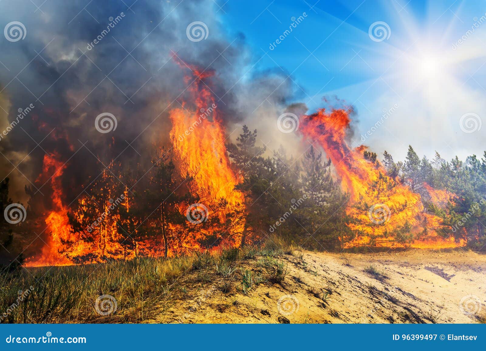 Forest Fire, Wildfire Burning Tree in Red and Orange Color Stock Image ...