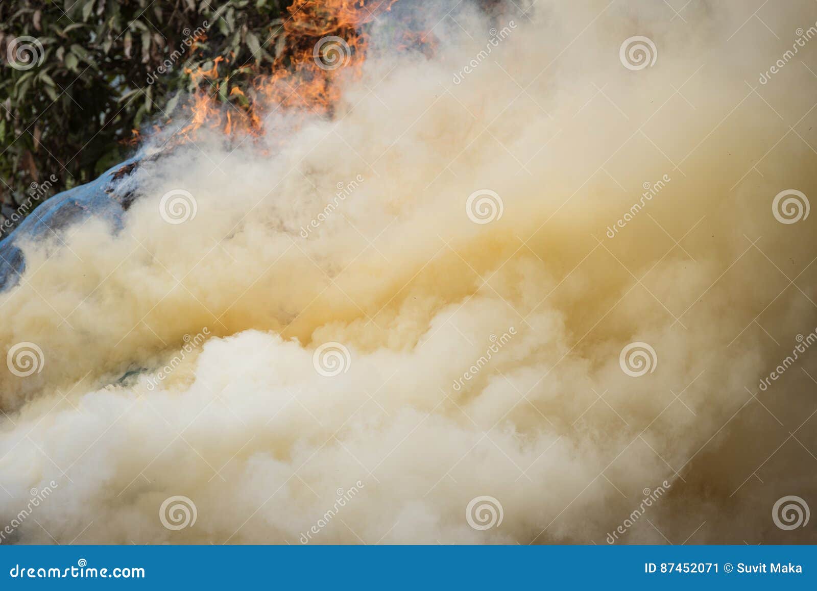 Forest fire stock image. Image of black, abstract, destruction - 87452071