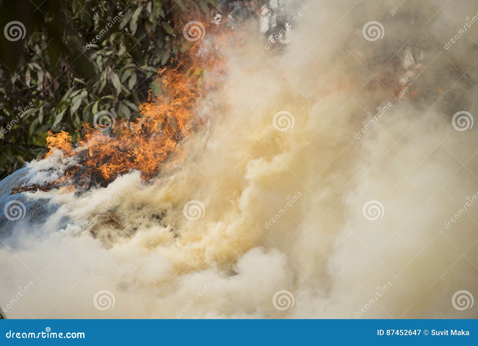 Forest fire stock image. Image of glow, beautiful, burn - 87452647