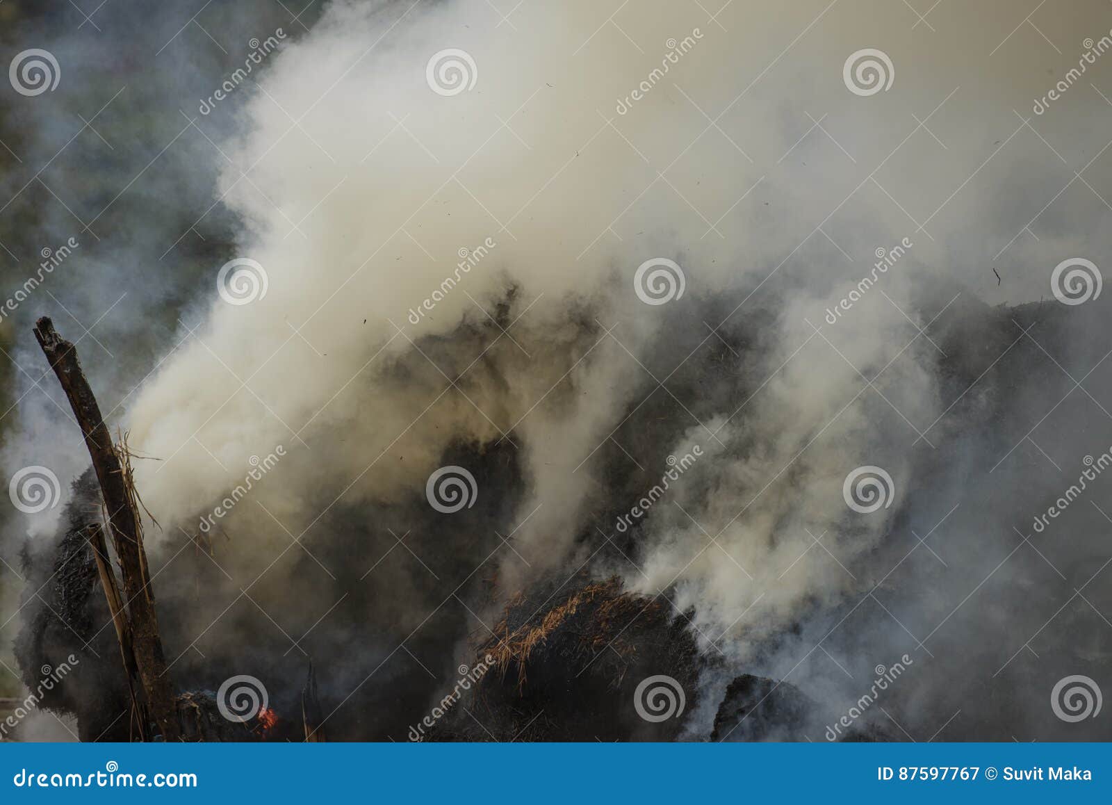 Forest fire stock image. Image of ecology, energy, destruction - 87597767