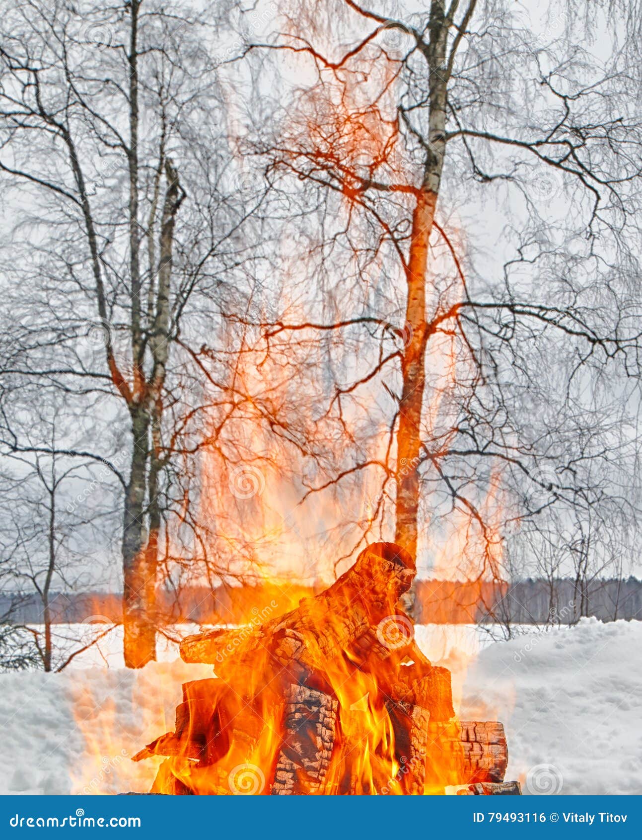 Forest Fire in Winter Concept Stock Photo - Image of nature, flame ...