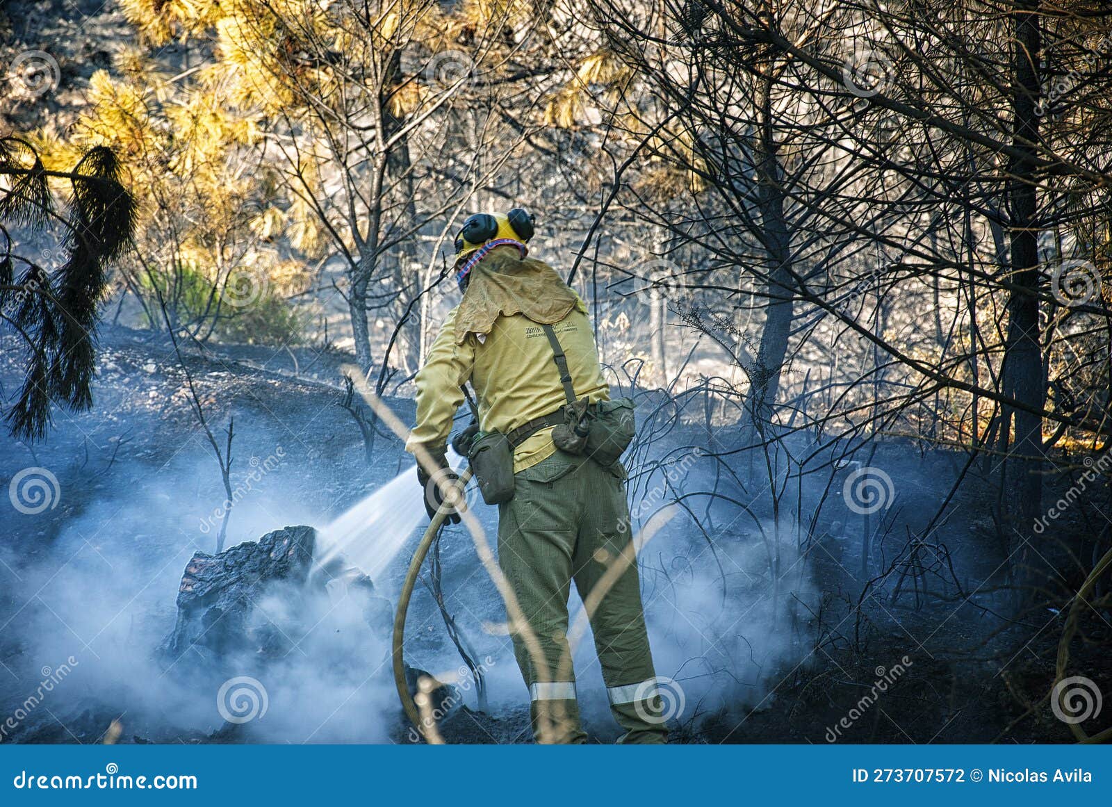 Forest Firefighter Putting Out a Fire Stock Photo - Image of high ...