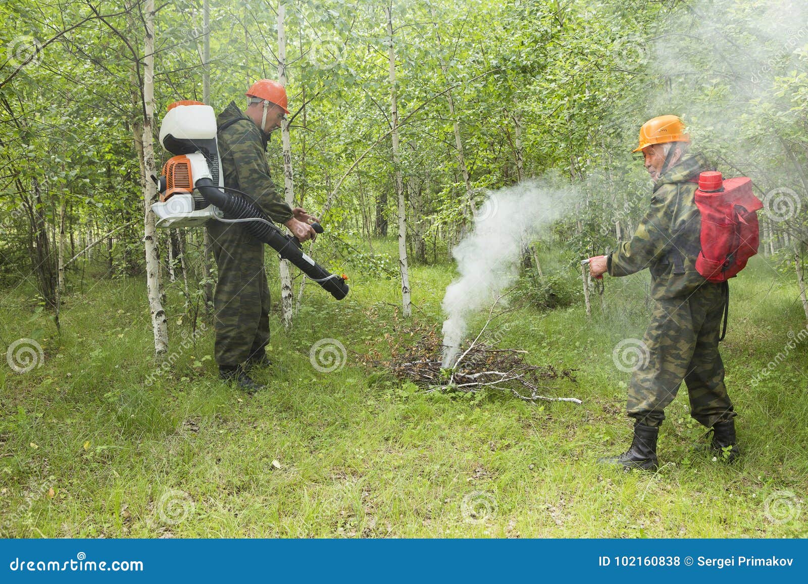 Fire Fighting in the Forest Stock Photo - Image of defense, hose: 102160838
