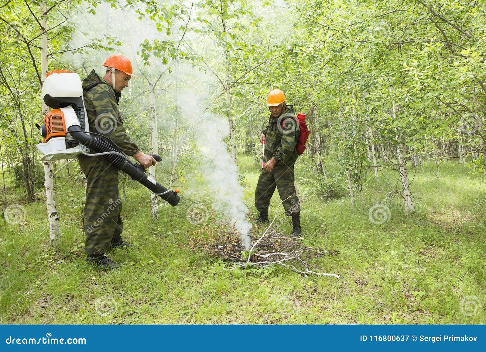 Fire Fighting in the Forest Stock Image - Image of extinguisher, flame ...