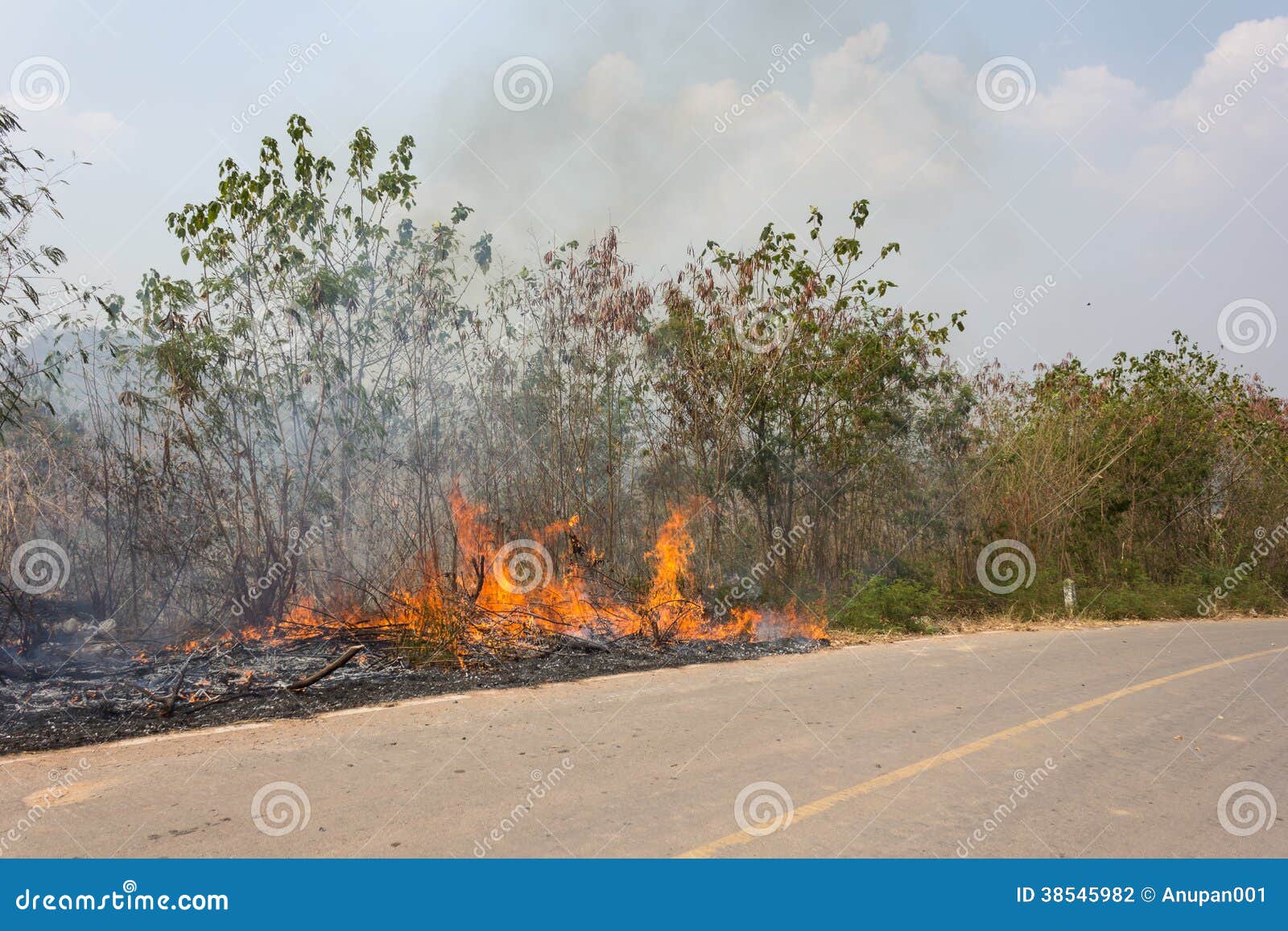 Forest fires stock photo. Image of leaves, burning, dangerous - 38545982