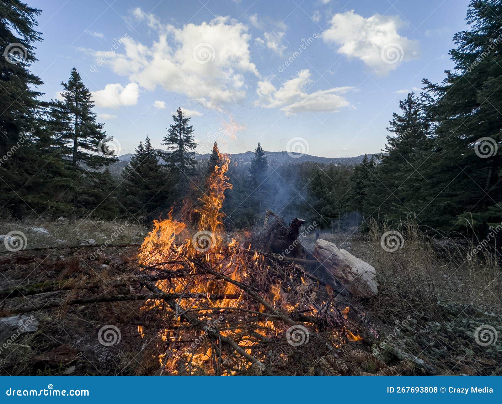 Forest Fires, First Fire and Dangerous Situations Stock Photo - Image ...