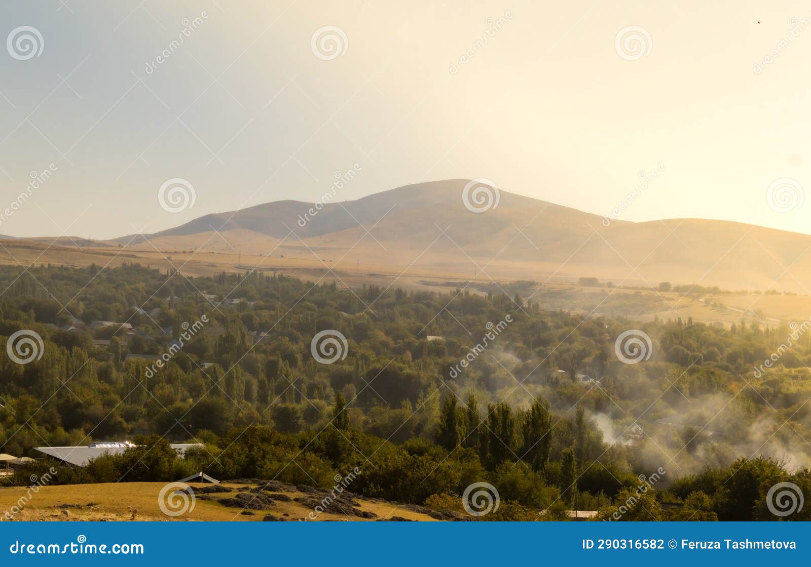 Forest Fires Smoke Over the Trees Smoke on a Background of Trees and ...