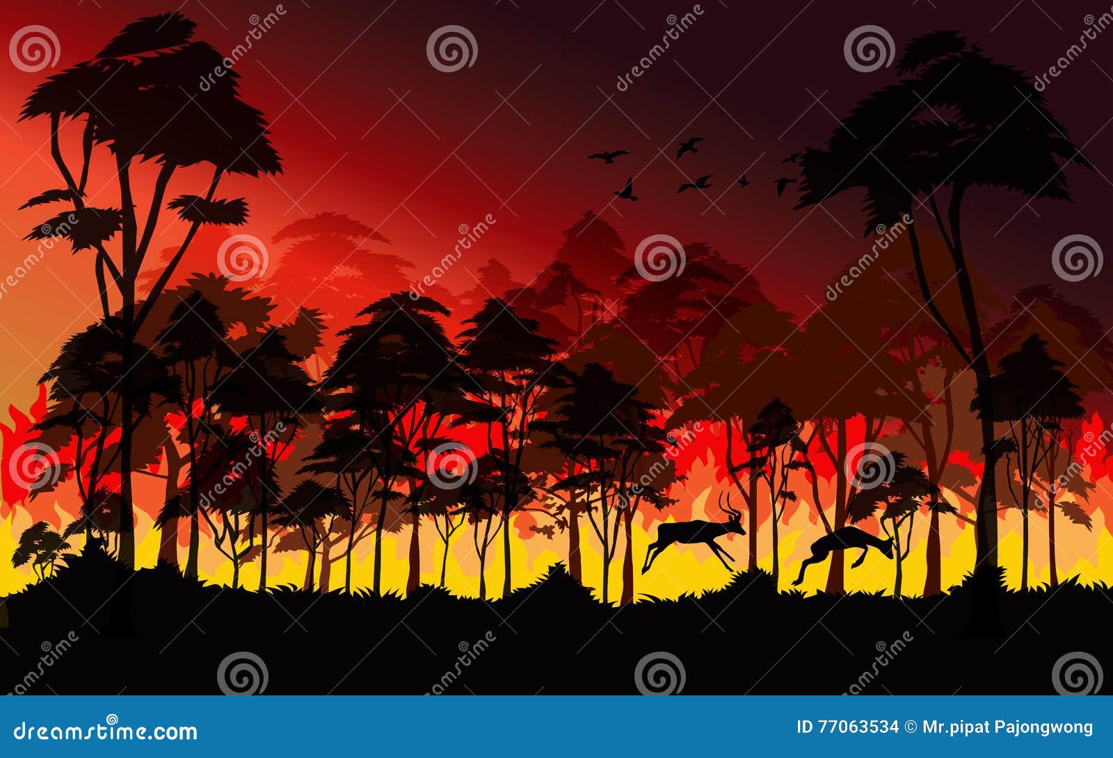 Forest Fires Burn Fast. Wild Animals Run For Their Lives. The Accident ...