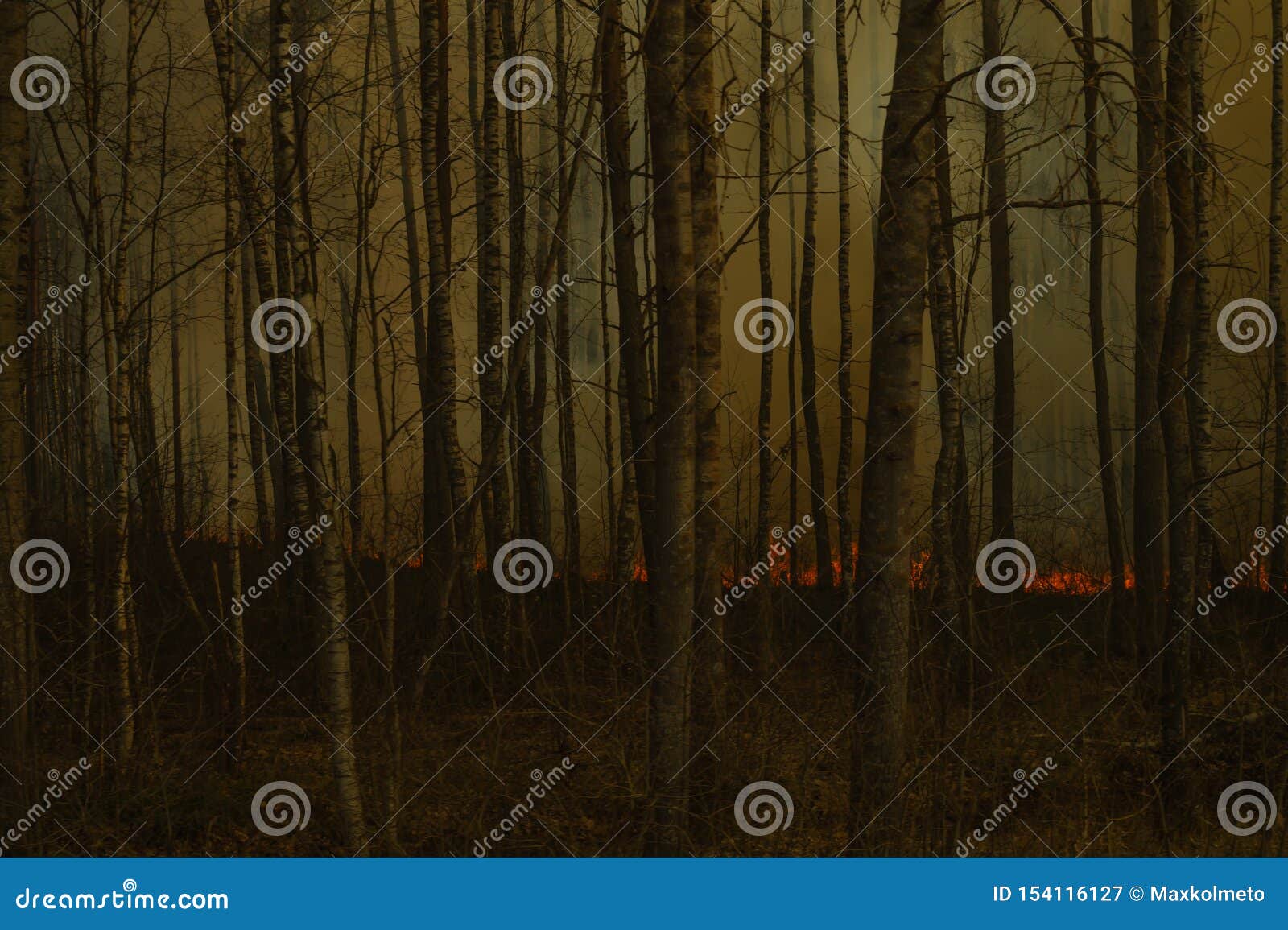 Forest in Flames. Forest Fire with Smoke Wall Stock Image - Image of ...